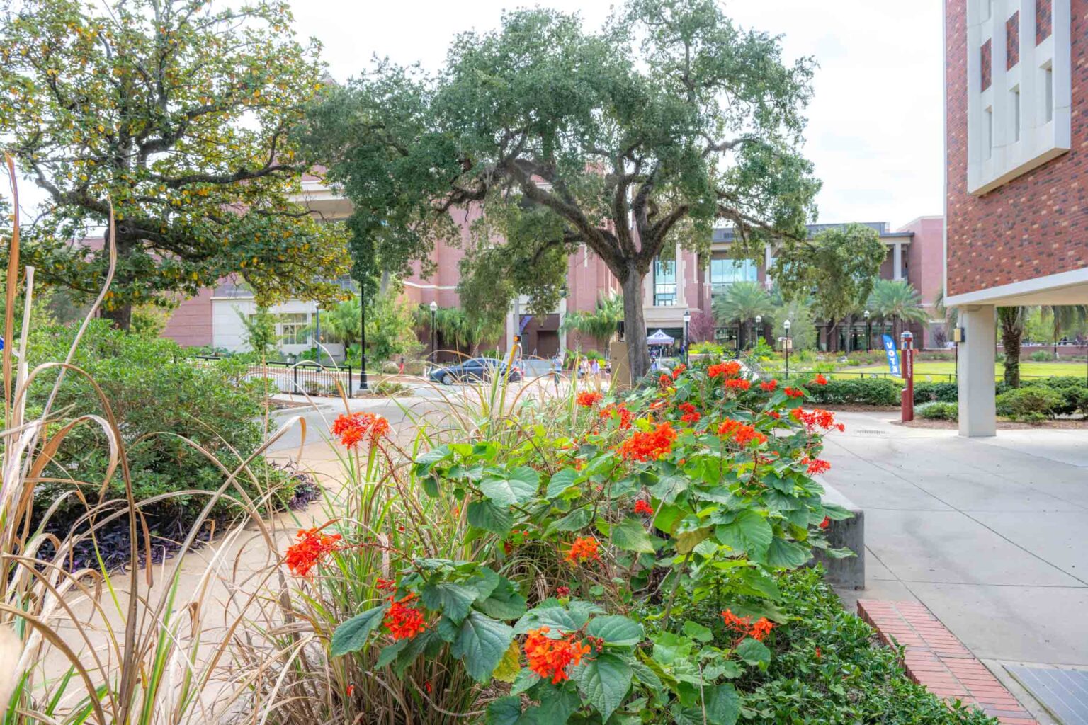 DEPARTMENT OF COMPUTER SCIENCE – College of Arts and Sciences