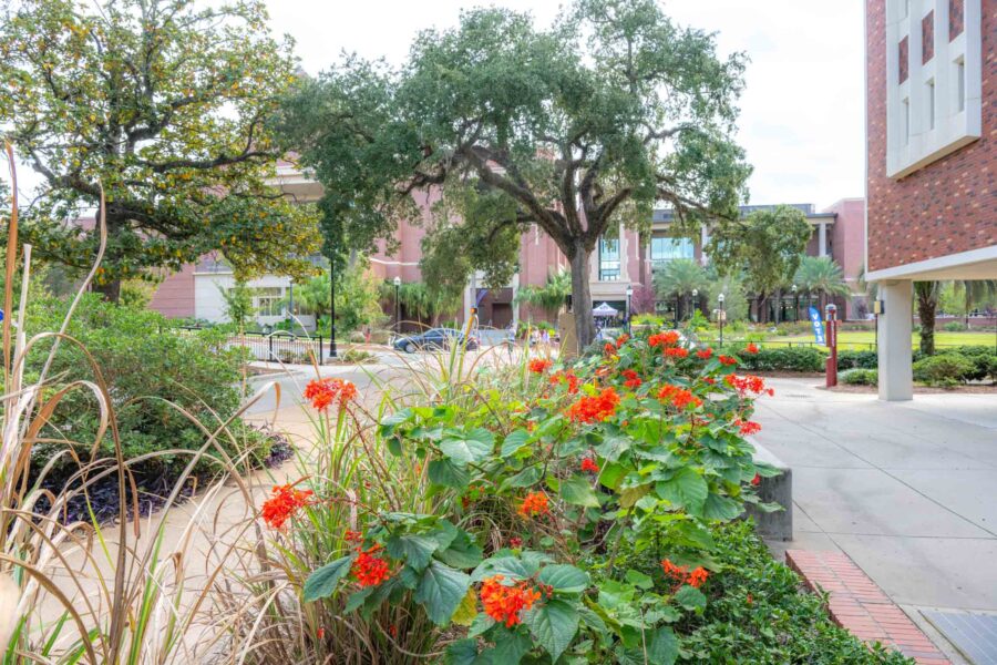 DEPARTMENT OF COMPUTER SCIENCE – College of Arts and Sciences