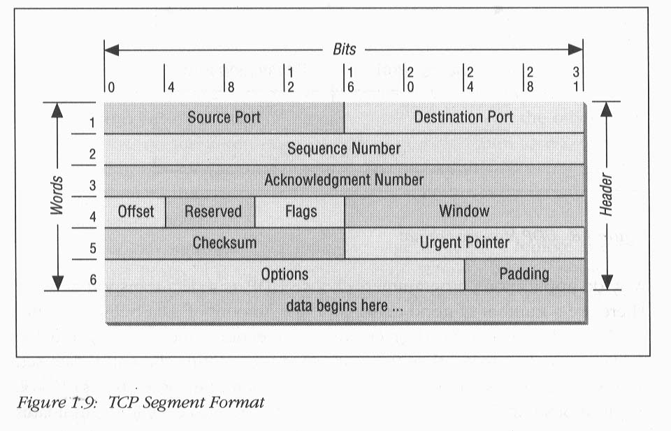 CIS 5406 - Lecture Notes # 13 - TCP/IP and Routing
